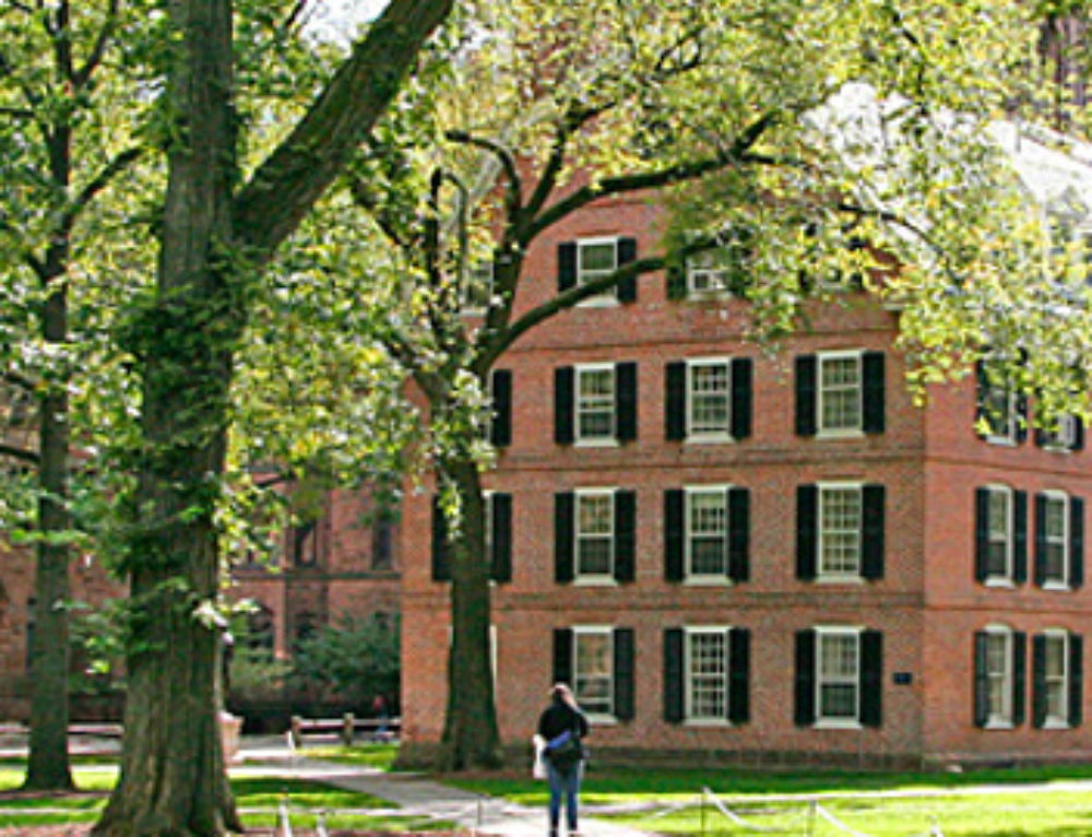 Common App Essay Examples Ivy League Examples Of Ivy League College 