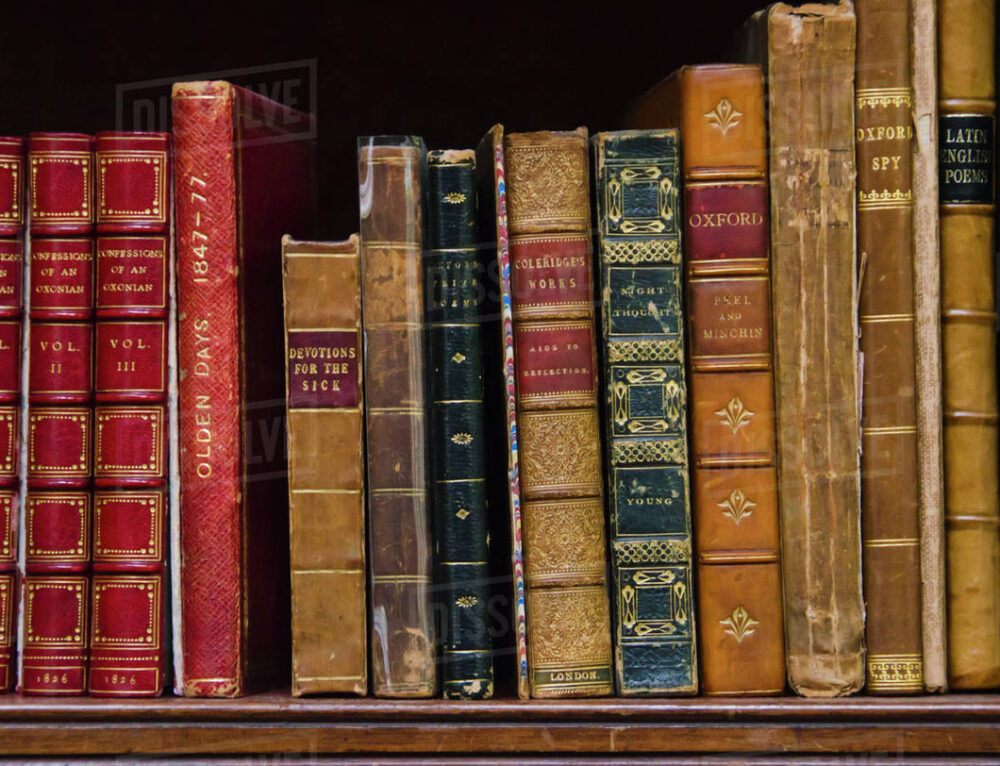 What Each Ivy League College is Known For | Ivy College Essay