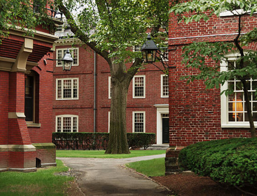 College Admissions Essay Examples Get You Into Ivy League | Crafting ...
