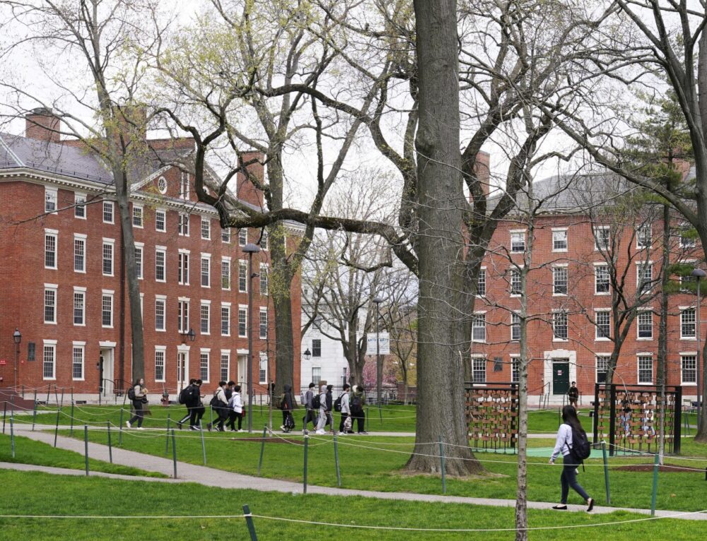 College Admissions Essay Examples Get You Into Ivy League | Crafting ...